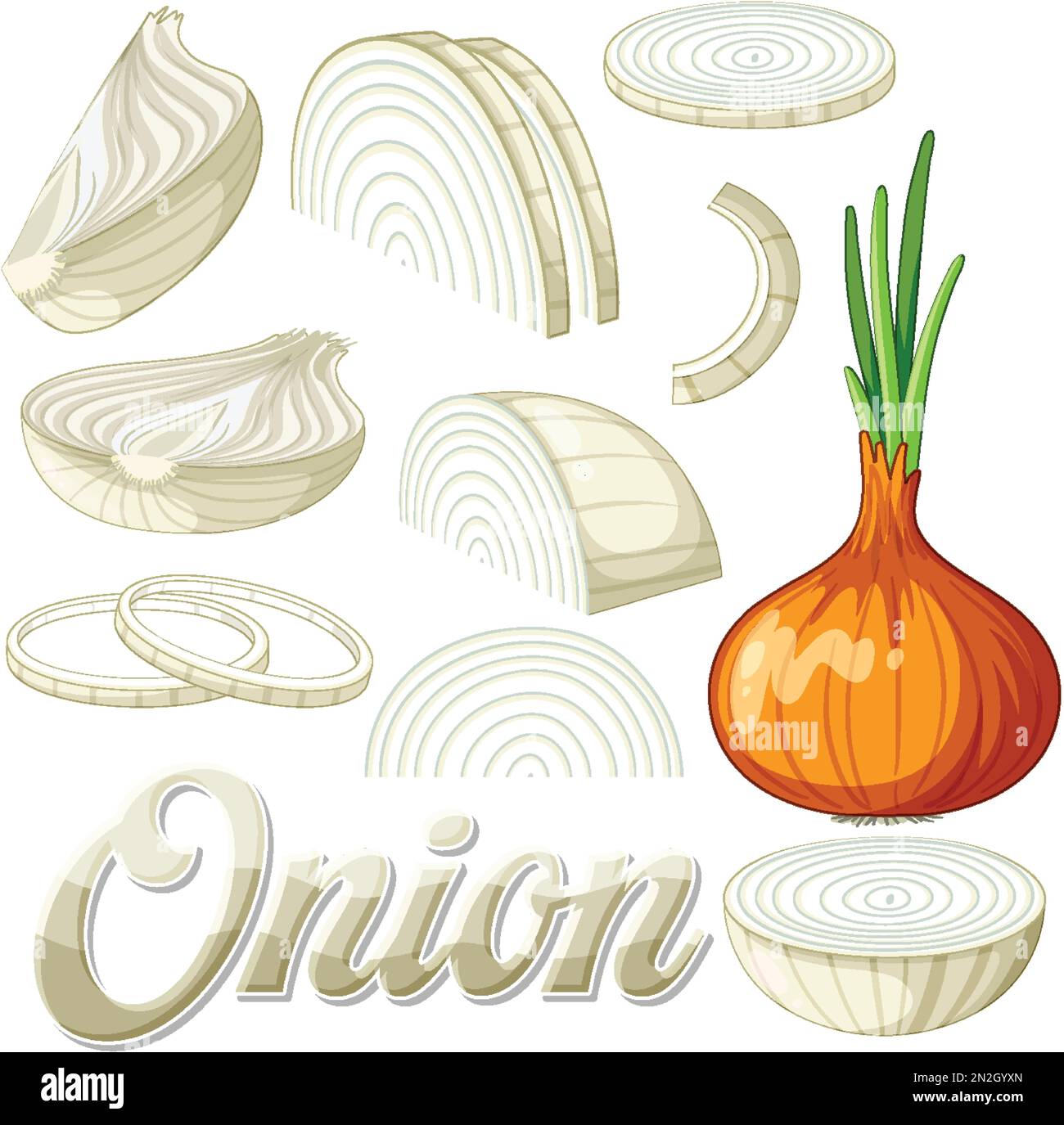 Set of onion cartoon isolated illustration Stock Vector Image & Art - Alamy