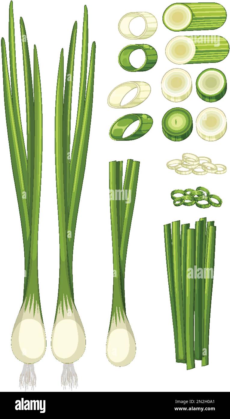 Spring onion clipart hi-res stock photography and images - Alamy
