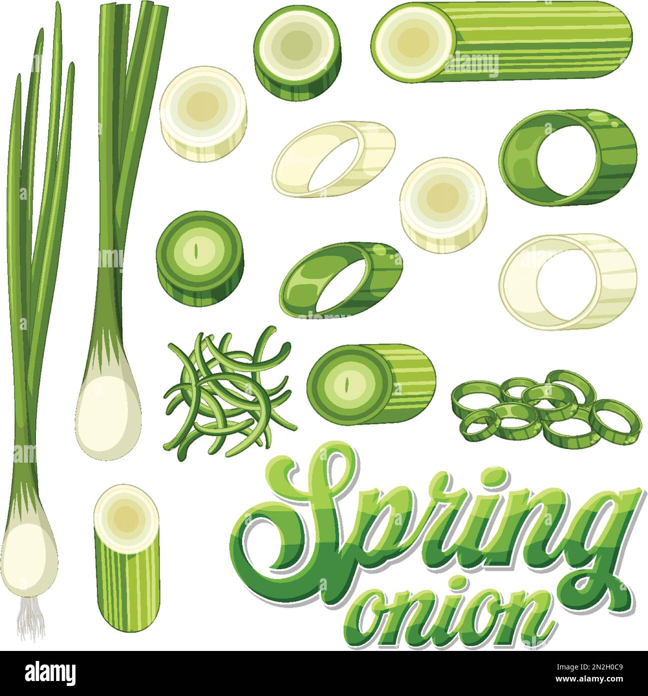 Cartoon spring onion isolated illustration Stock Vector Image & Art - Alamy