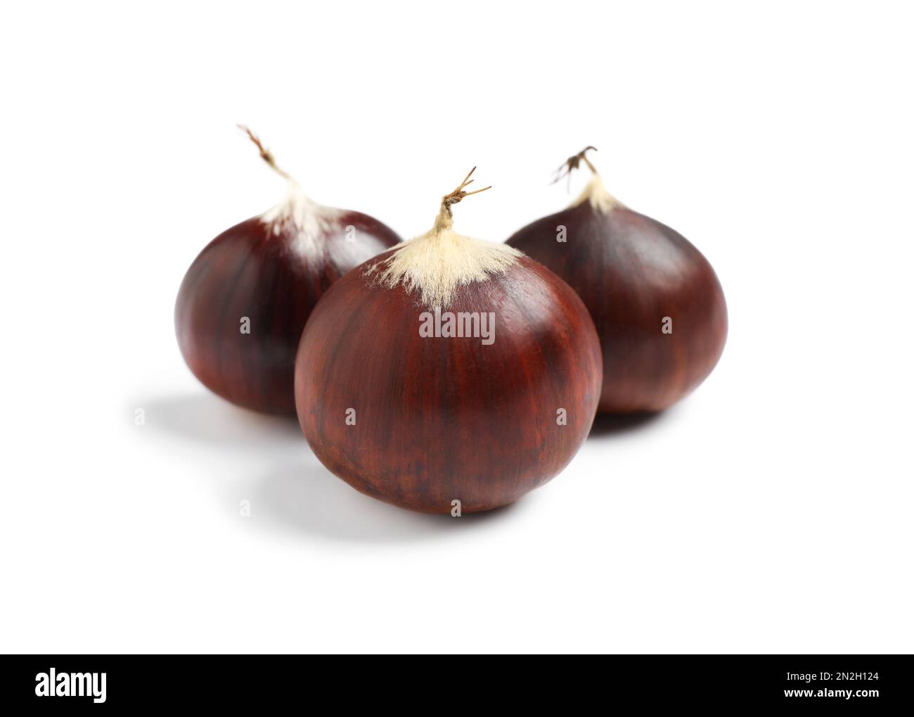 Fresh sweet edible chestnuts on white background Stock Photo - Alamy