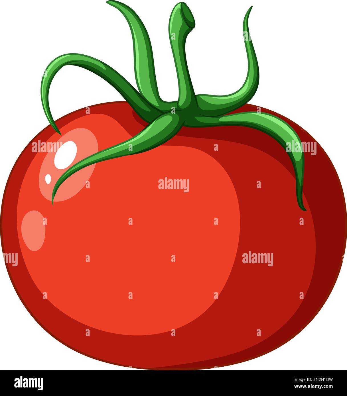 A simple tomato cartoon isolated illustration Stock Vector Image & Art ...