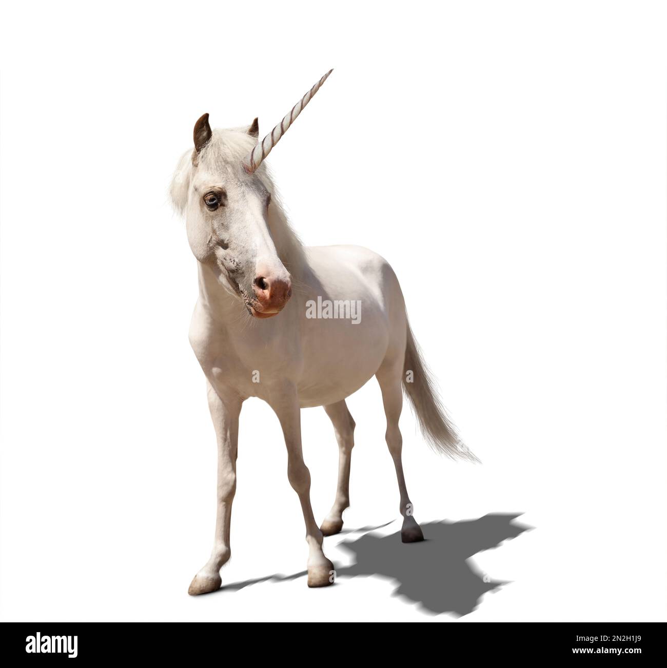 Amazing unicorn with beautiful mane on white background Stock Photo - Alamy
