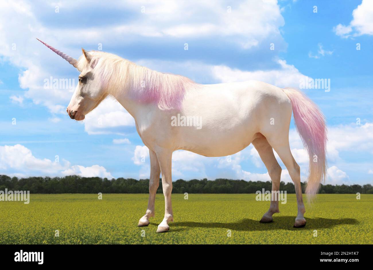 Unicorn ride on hi-res stock photography and images - Alamy