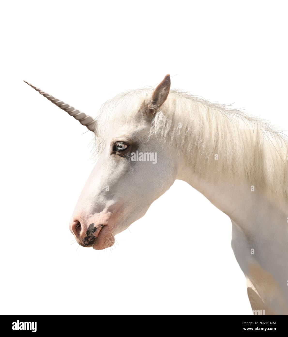 Amazing unicorn with beautiful mane on white background Stock Photo - Alamy