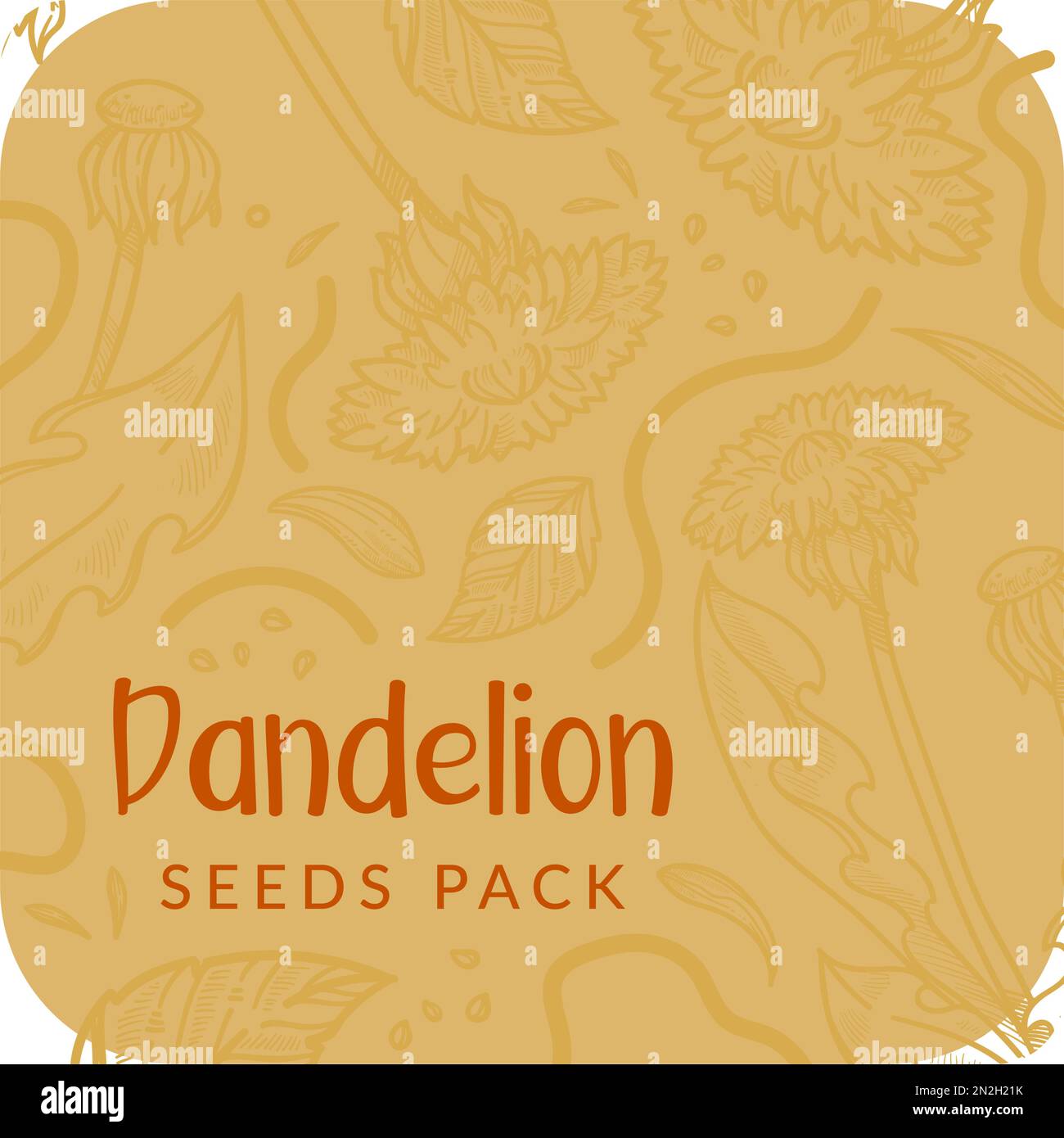 Dandelion seeds pack, agriculture products for growing at home garden ...