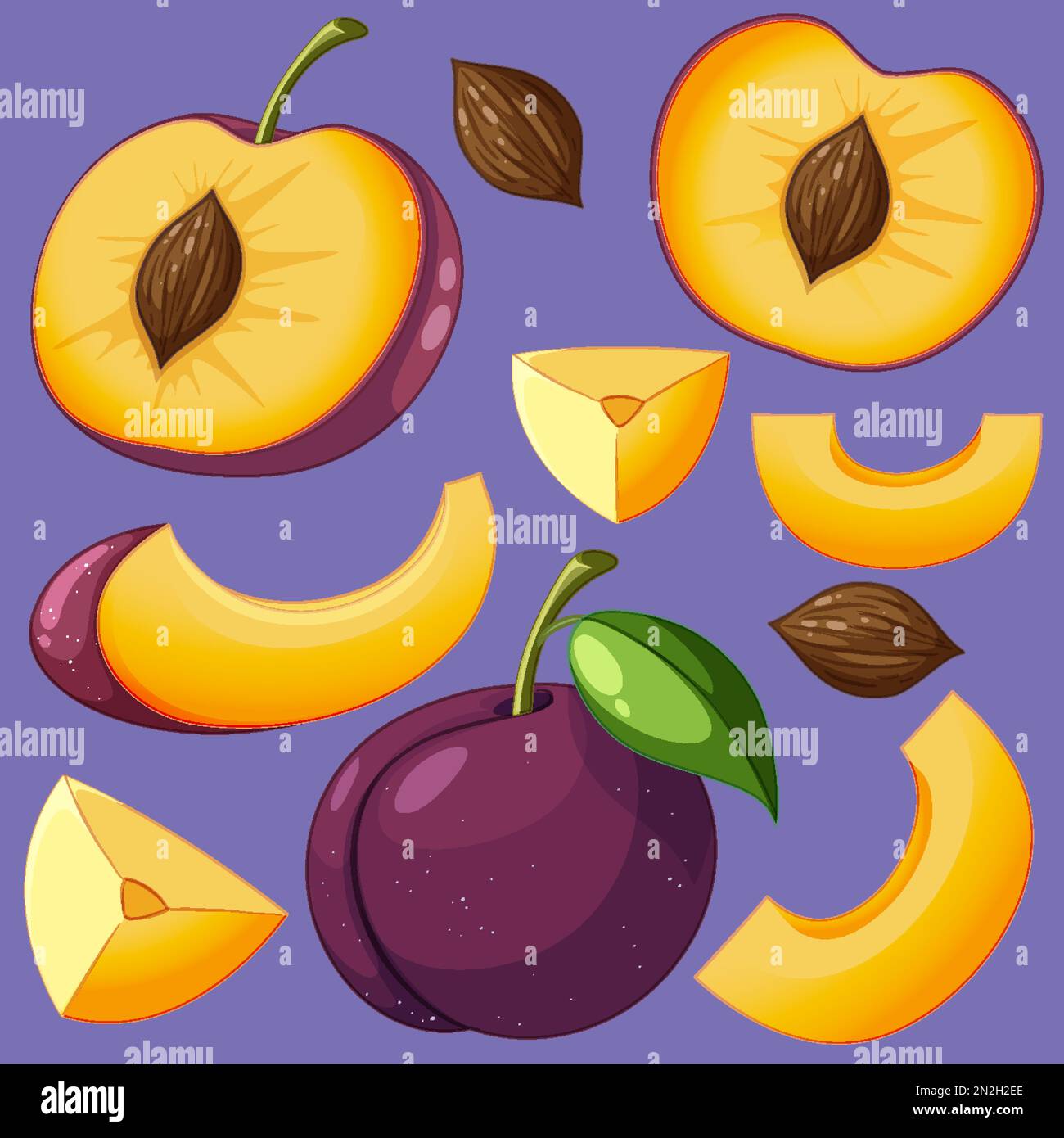 Set of plum fruit cartoon on purple background illustration Stock ...