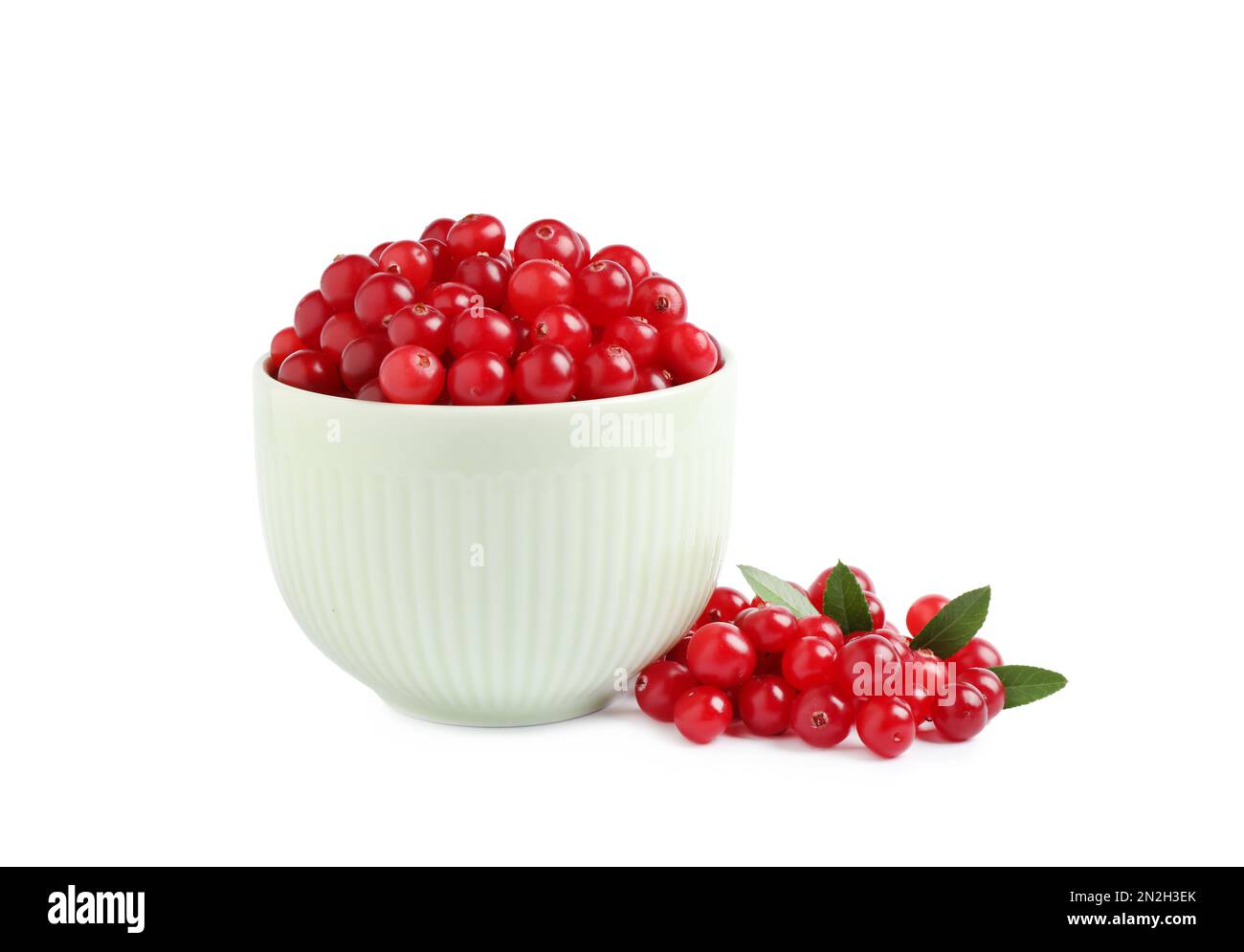 Fresh ripe cranberries with leaves on white background Stock Photo - Alamy