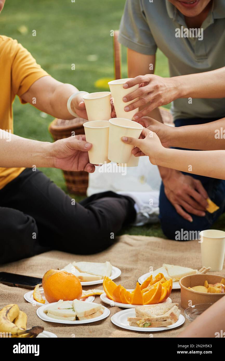 Closeup image of family toasting with disposable cups at family picnic ...