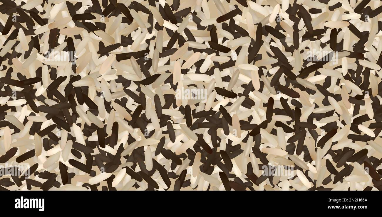 Uncooked dry basmati and wild rice seamless pattern. Vector background ...