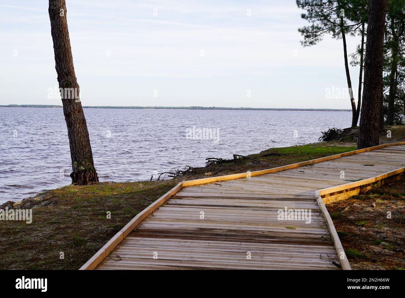 sunrise lake view wooden pathway terrace in Maubuisson Carcans France ...