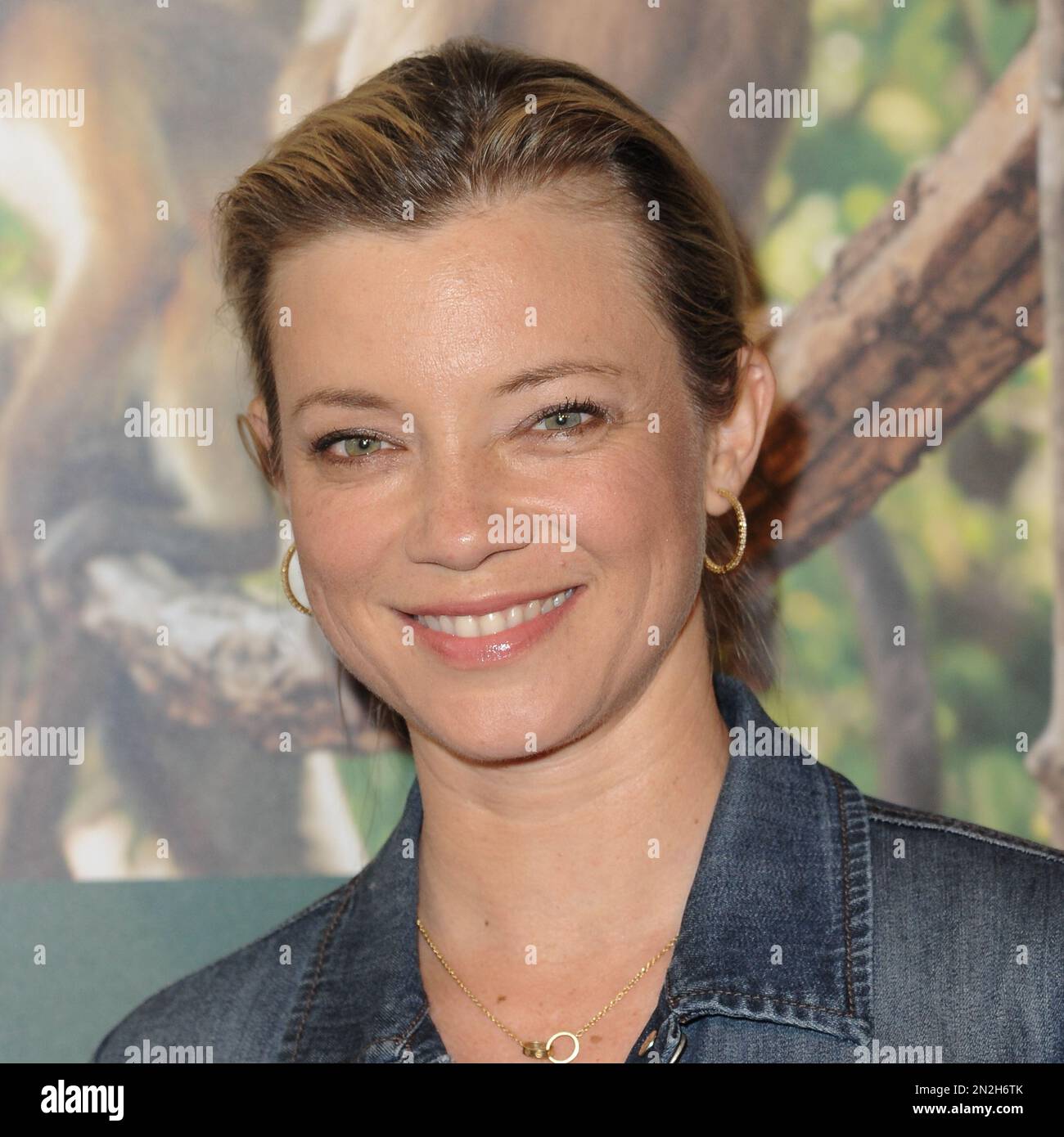 Amy Smart arrives at the World Premiere Of "Monkey Kingdom" held at ...