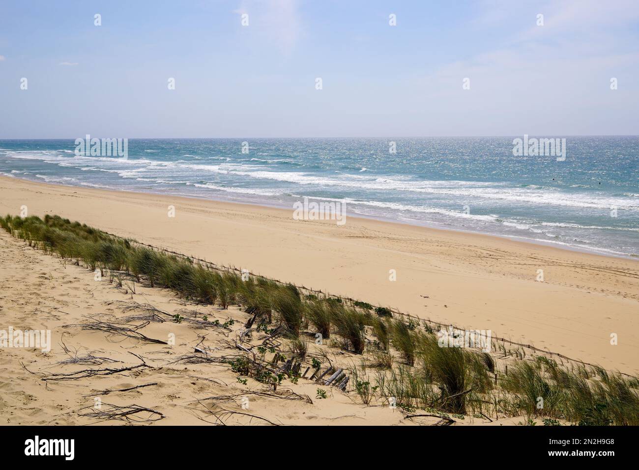 West french atlantic coast in le porge beach with sea sandy horizon ...