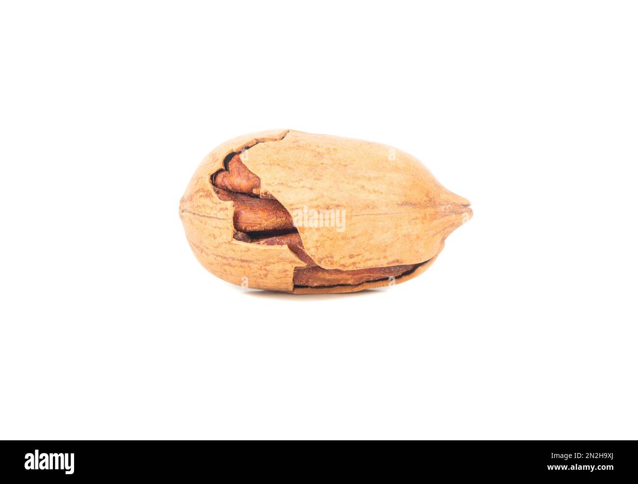 Pecan nut in shell isolated on white background Stock Photo - Alamy