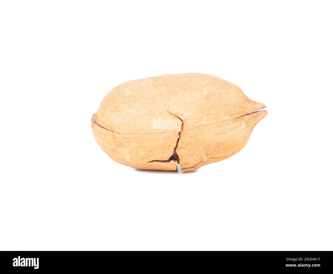 Pecan nut in shell isolated on white background Stock Photo - Alamy