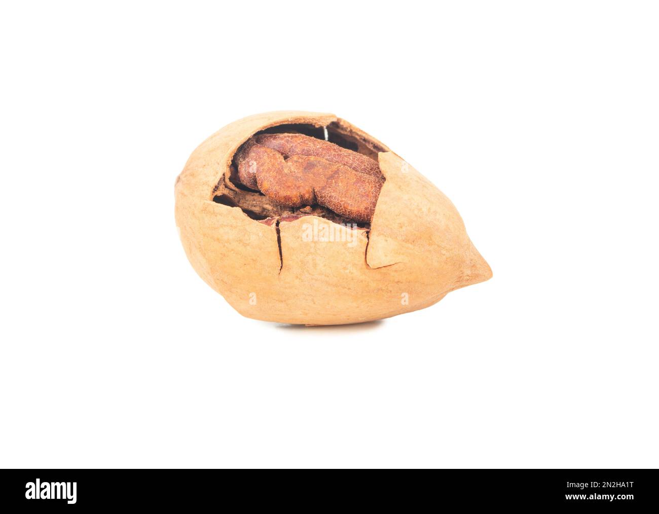 Pecan nut in cracked shell isolated on white background Stock Photo - Alamy