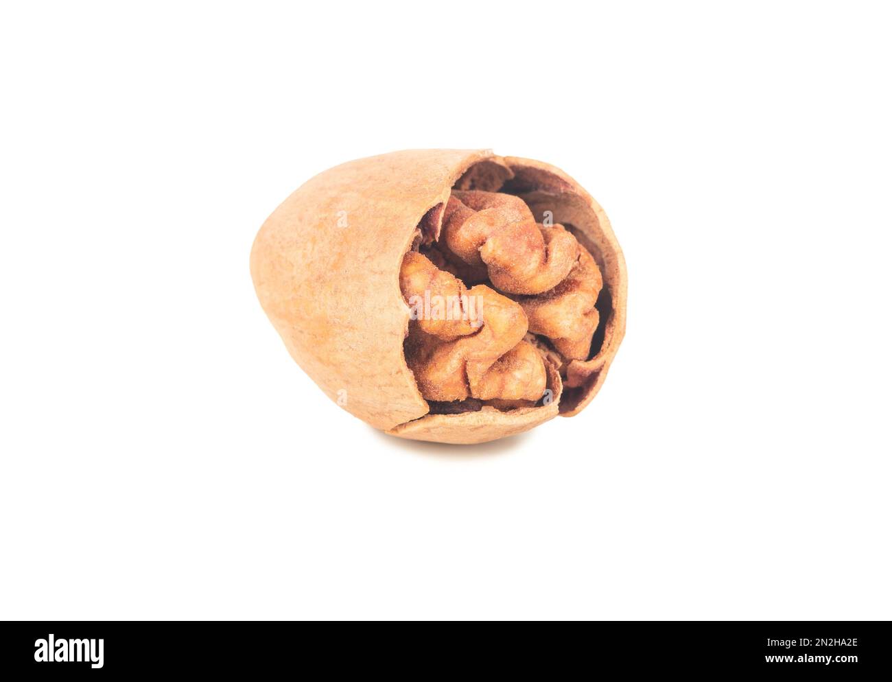 Pecan nut with broken shell isolated on white background Stock Photo ...