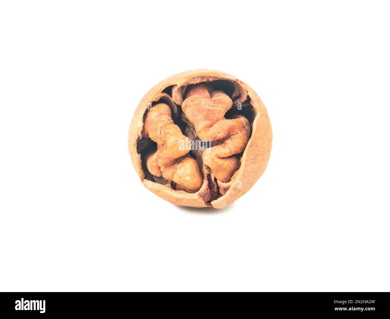 Pecan nut with broken shell isolated on white background Stock Photo ...