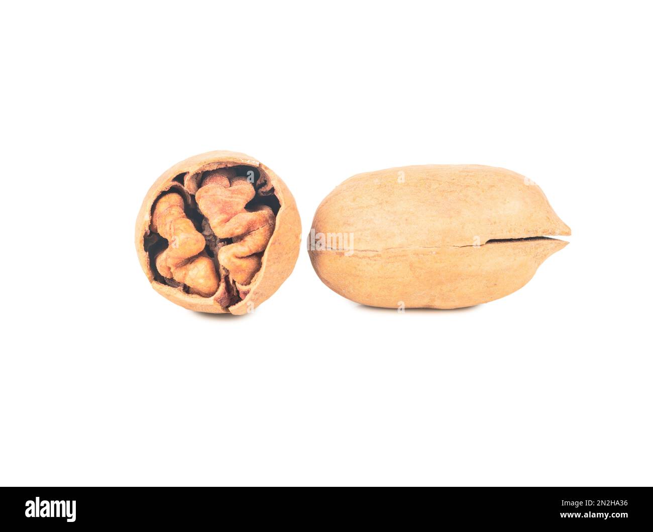 Two shelled pecans isolated on white background Stock Photo - Alamy