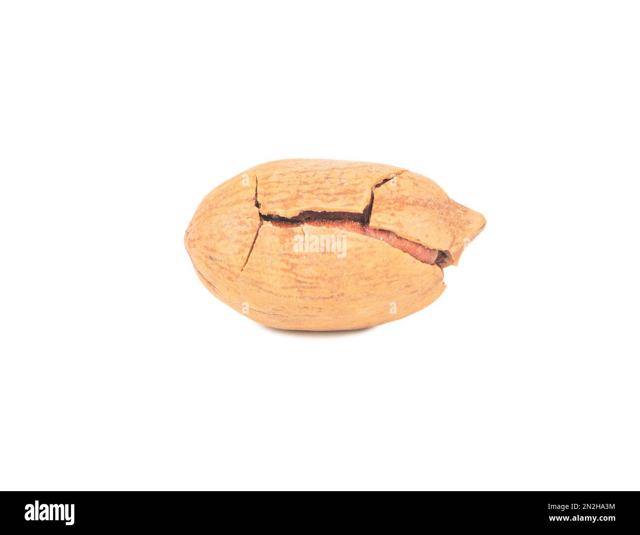 Pecan nut in cracked shell isolated on white background Stock Photo - Alamy