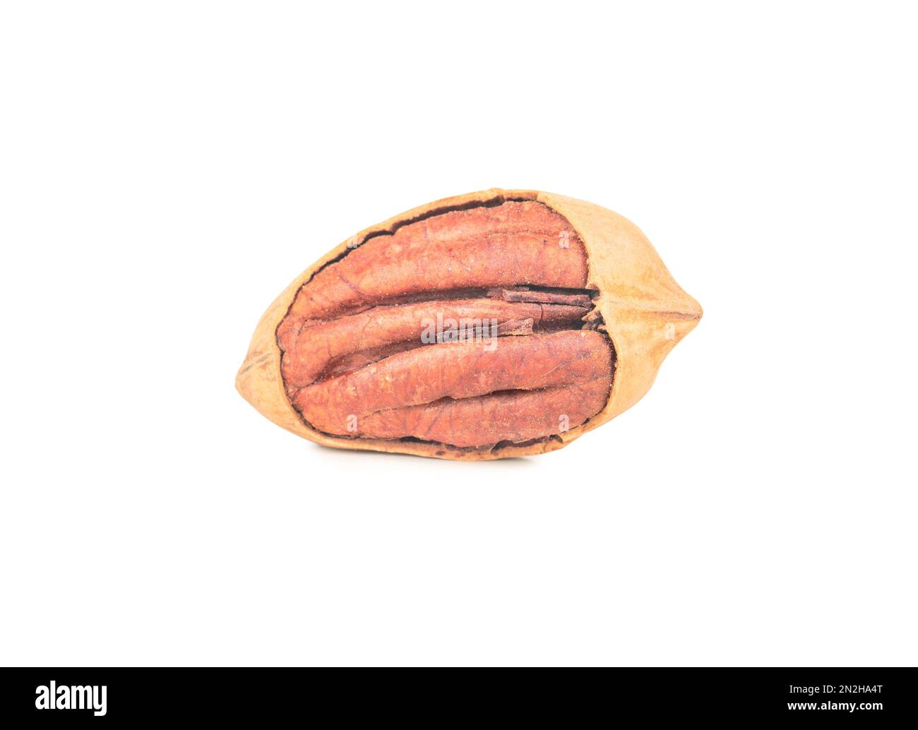 Pecan nut with broken shell isolated on white background Stock Photo ...