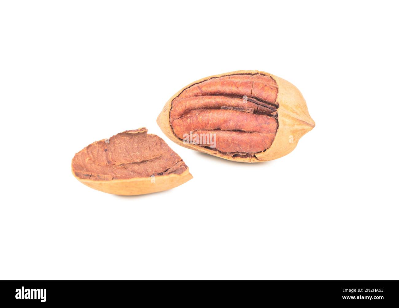 Pecan nut with broken shell isolated on white background Stock Photo ...