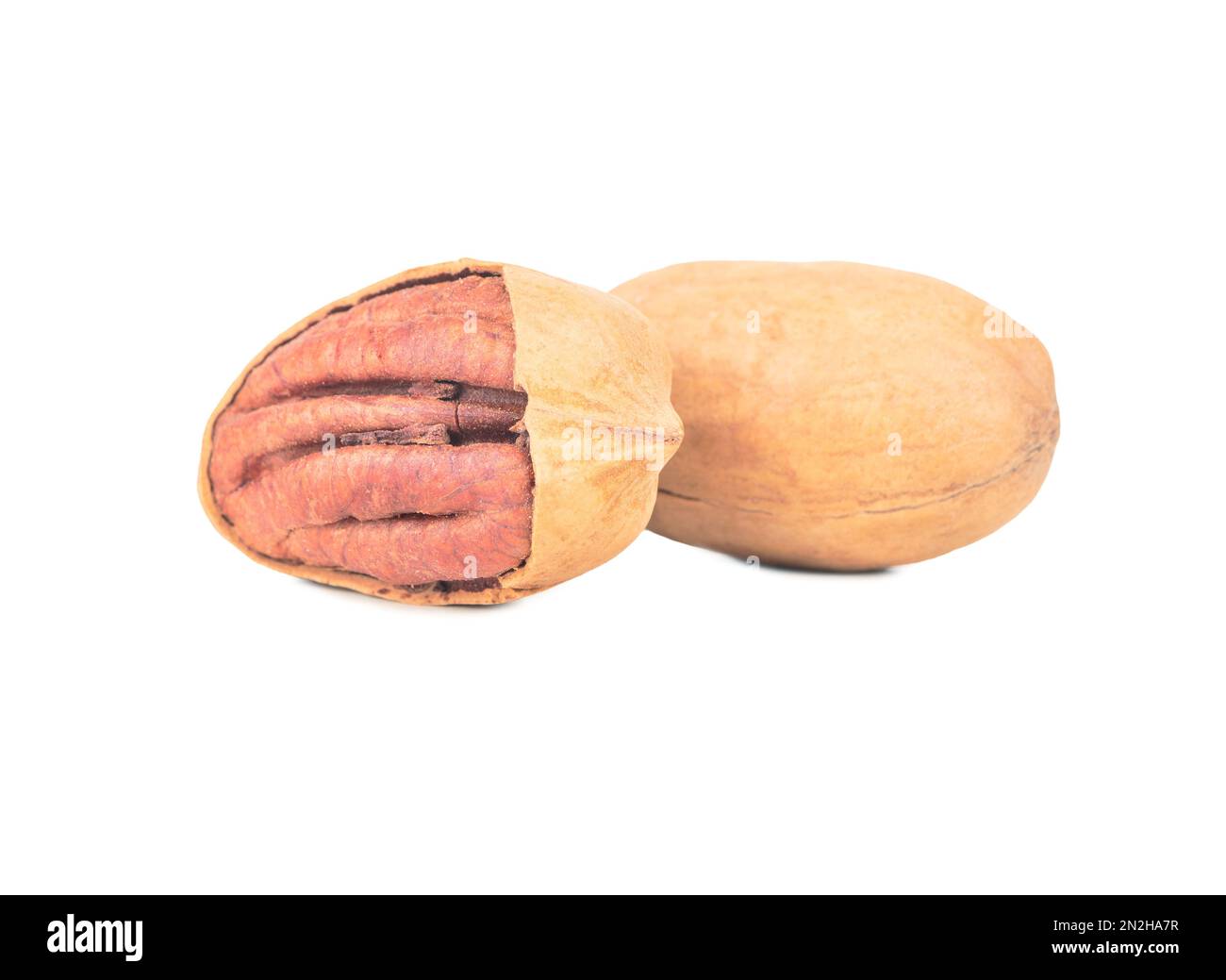Two shelled pecans isolated on white background Stock Photo - Alamy