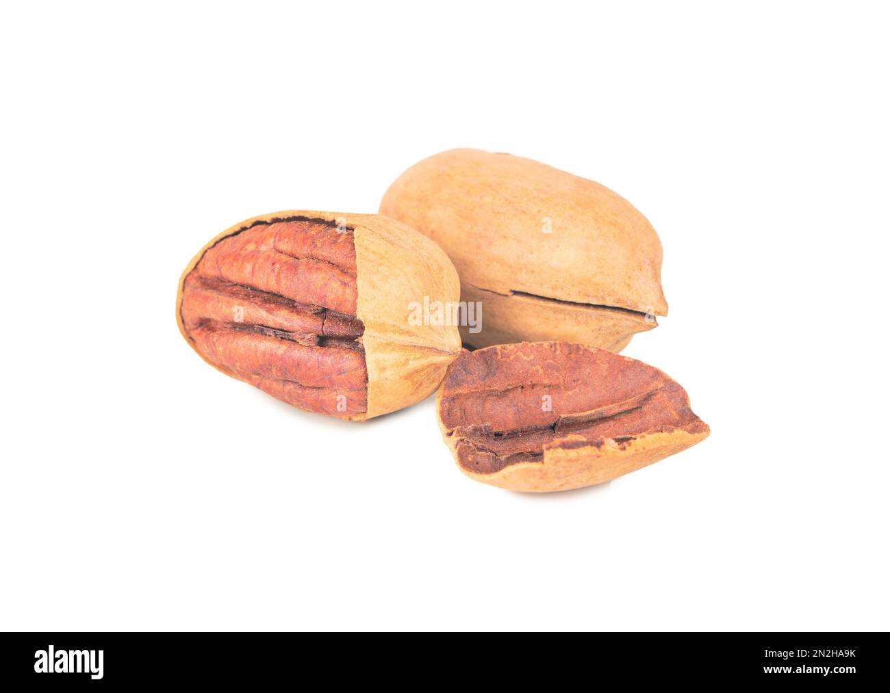 Two dry pecans in cracked shells on a white background Stock Photo - Alamy