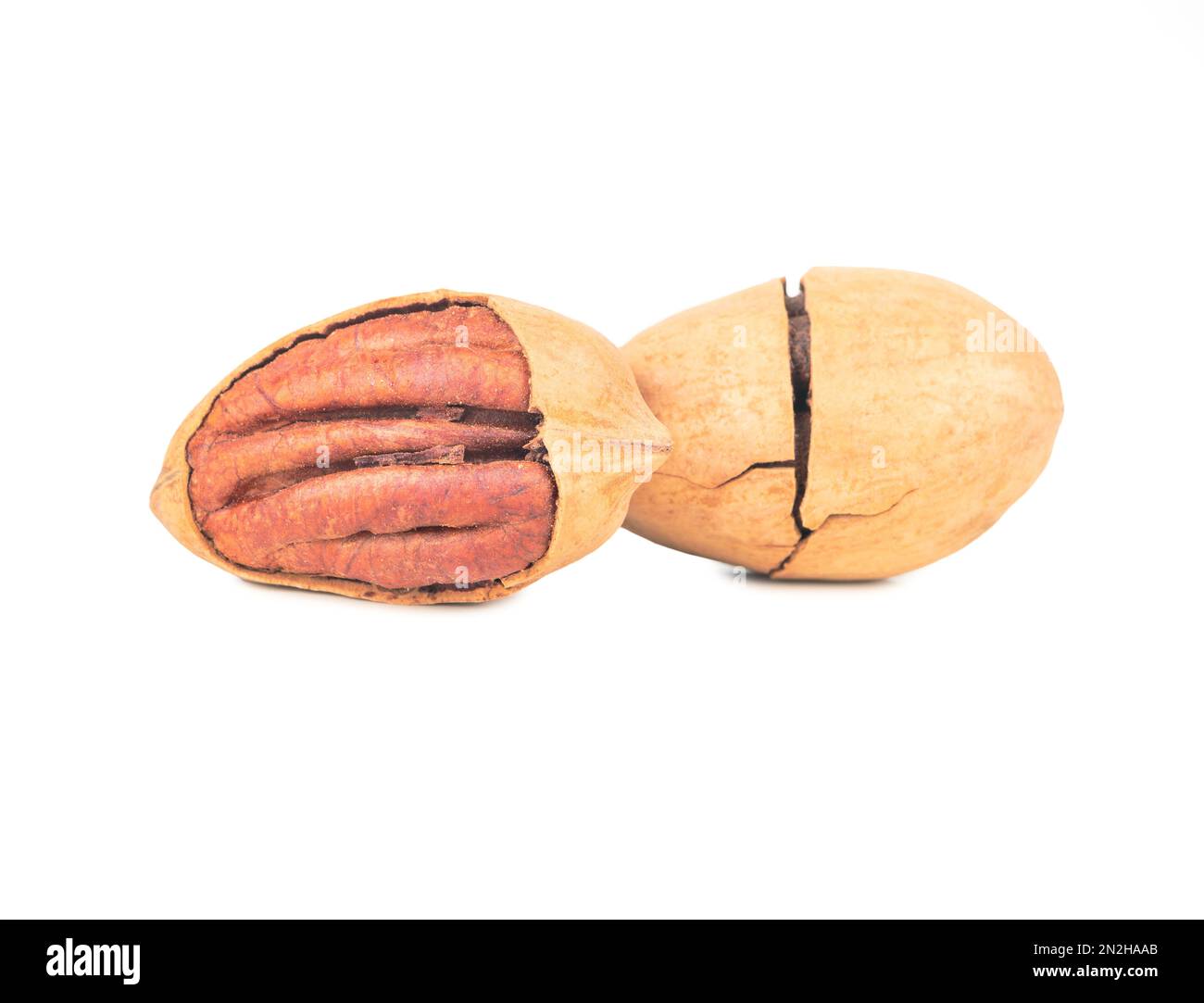 Two dry pecans in cracked shells on a white background Stock Photo - Alamy