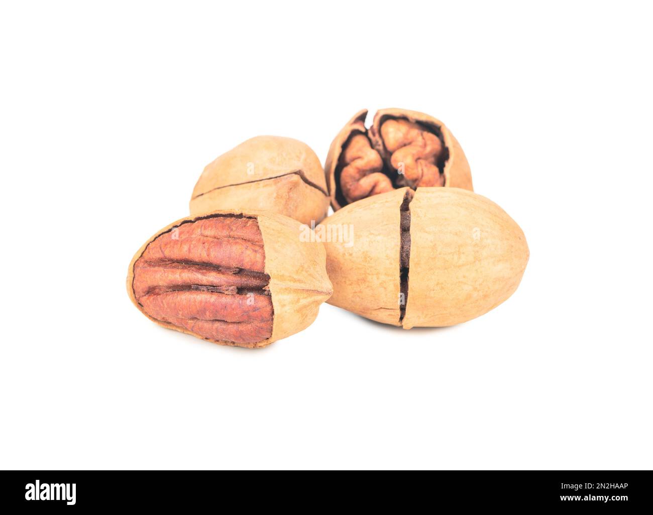 Several nuts with shell hi-res stock photography and images - Alamy