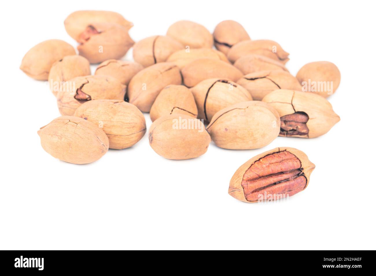 Scattered pecans in shell on white background Stock Photo - Alamy