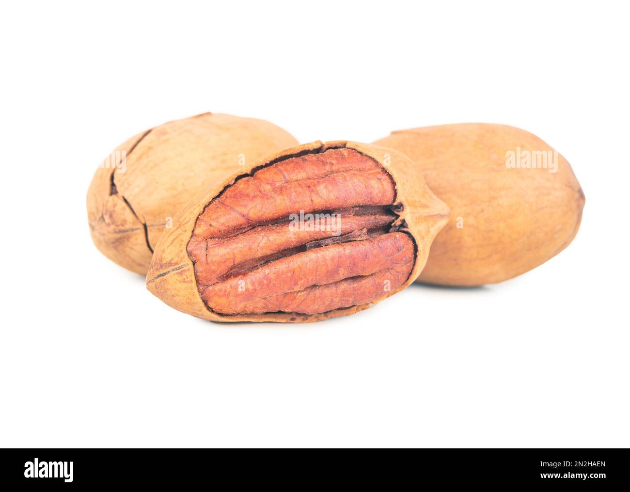 Three pecans in shell isolated on white background Stock Photo - Alamy