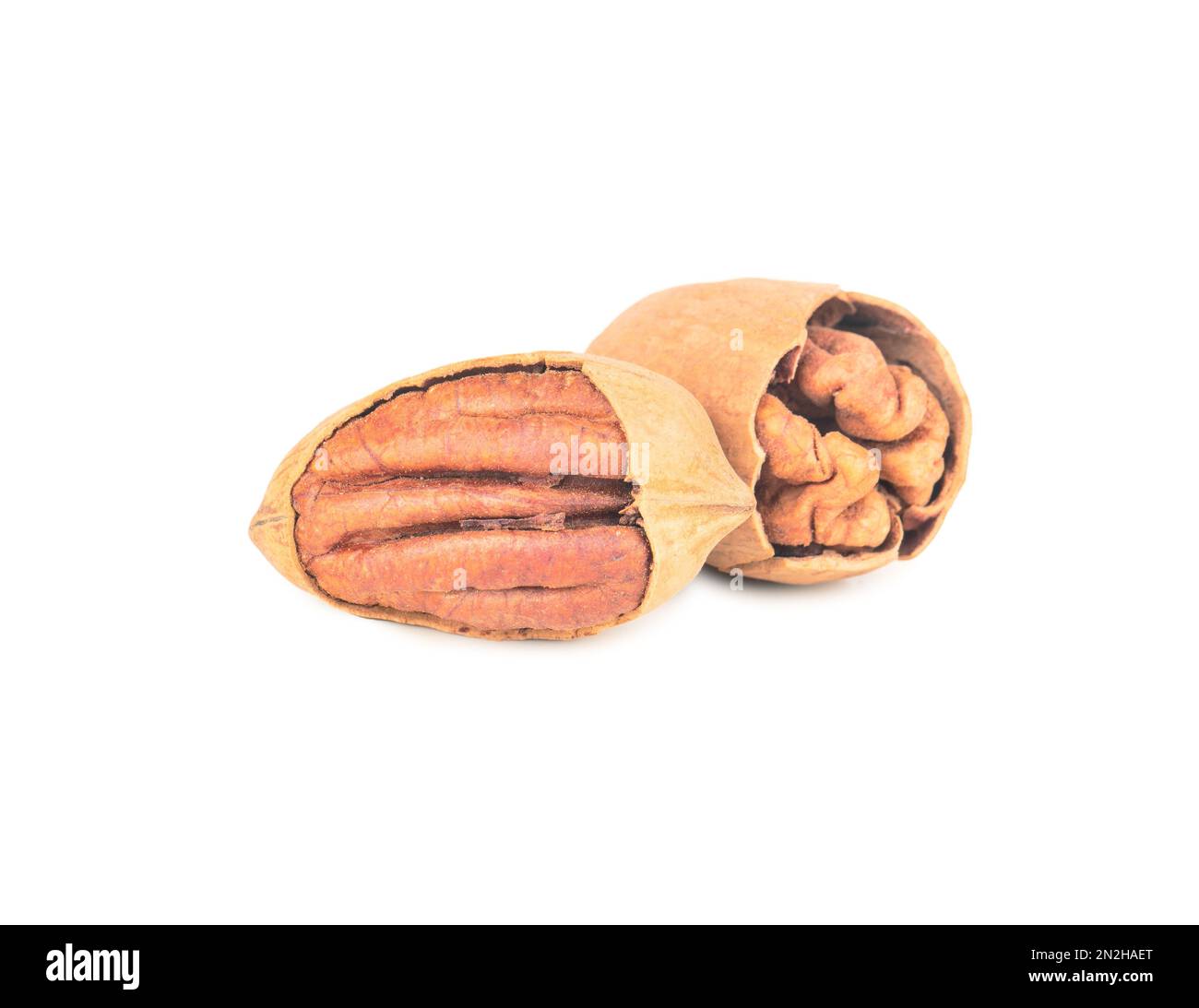 Two dry pecans in cracked shells on a white background Stock Photo - Alamy
