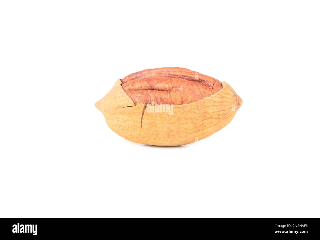Pecan nut in cracked shell isolated on white background Stock Photo - Alamy