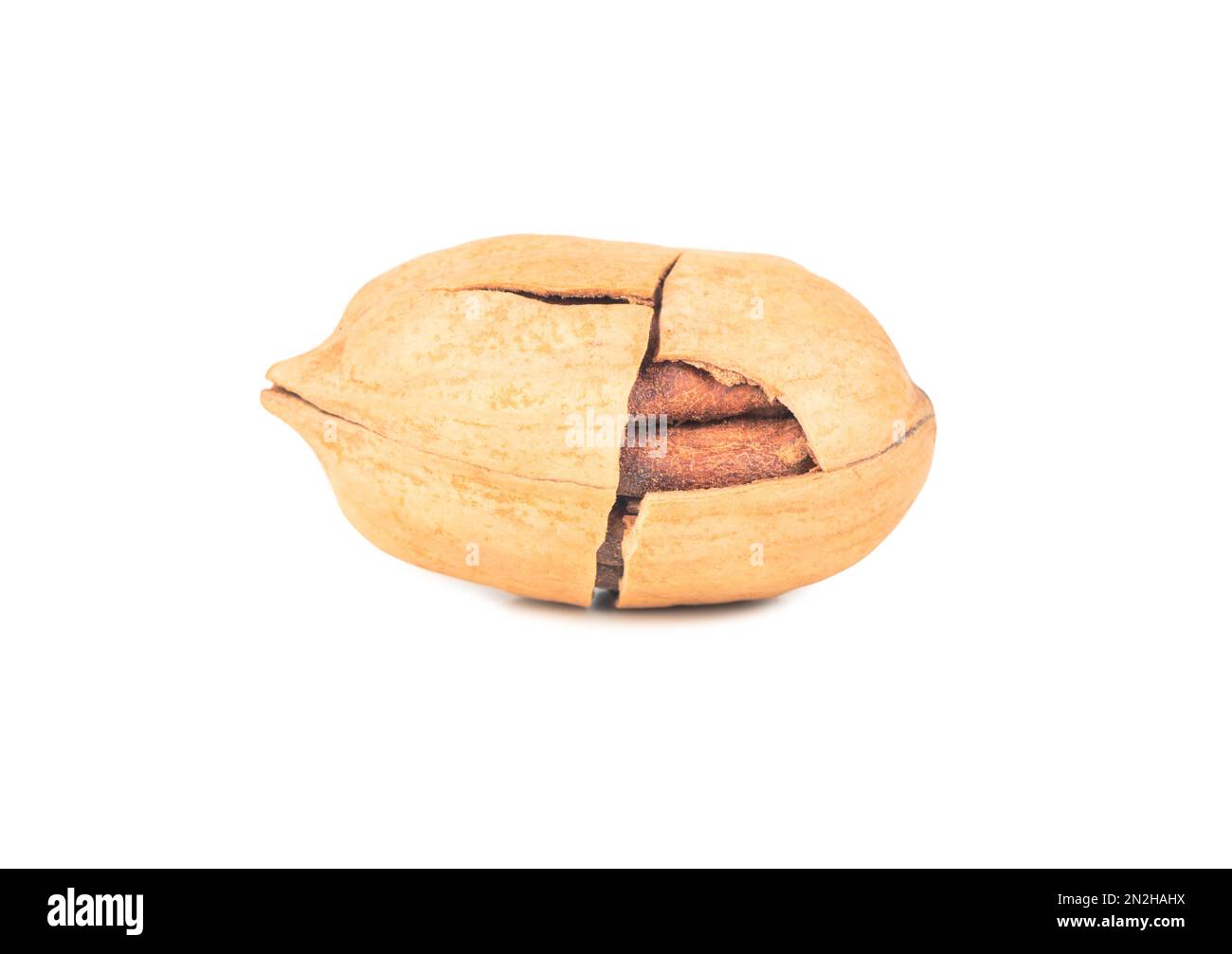 Pecan nut in cracked shell isolated on white background Stock Photo - Alamy