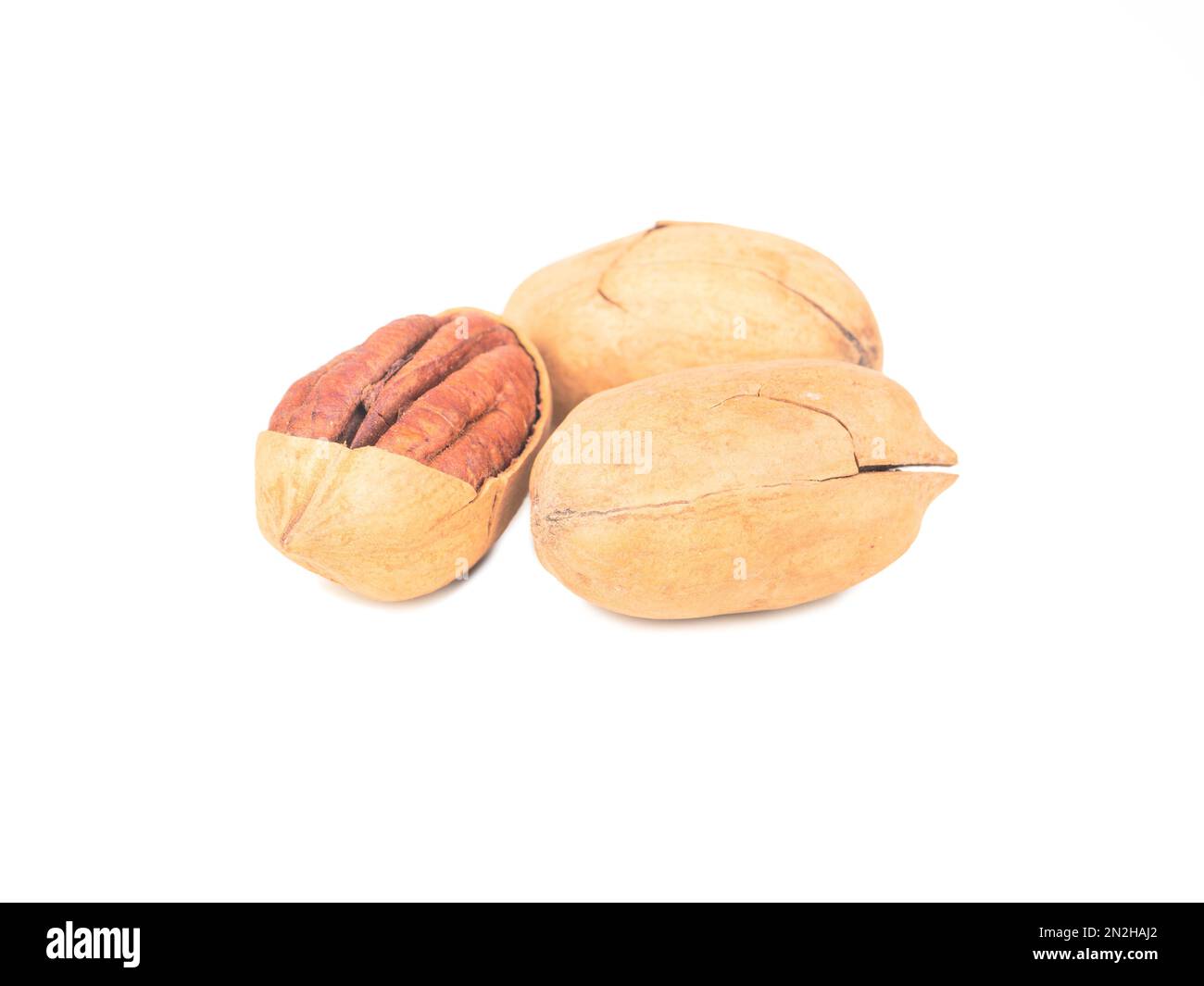 Three pecans in shell isolated on white background Stock Photo - Alamy