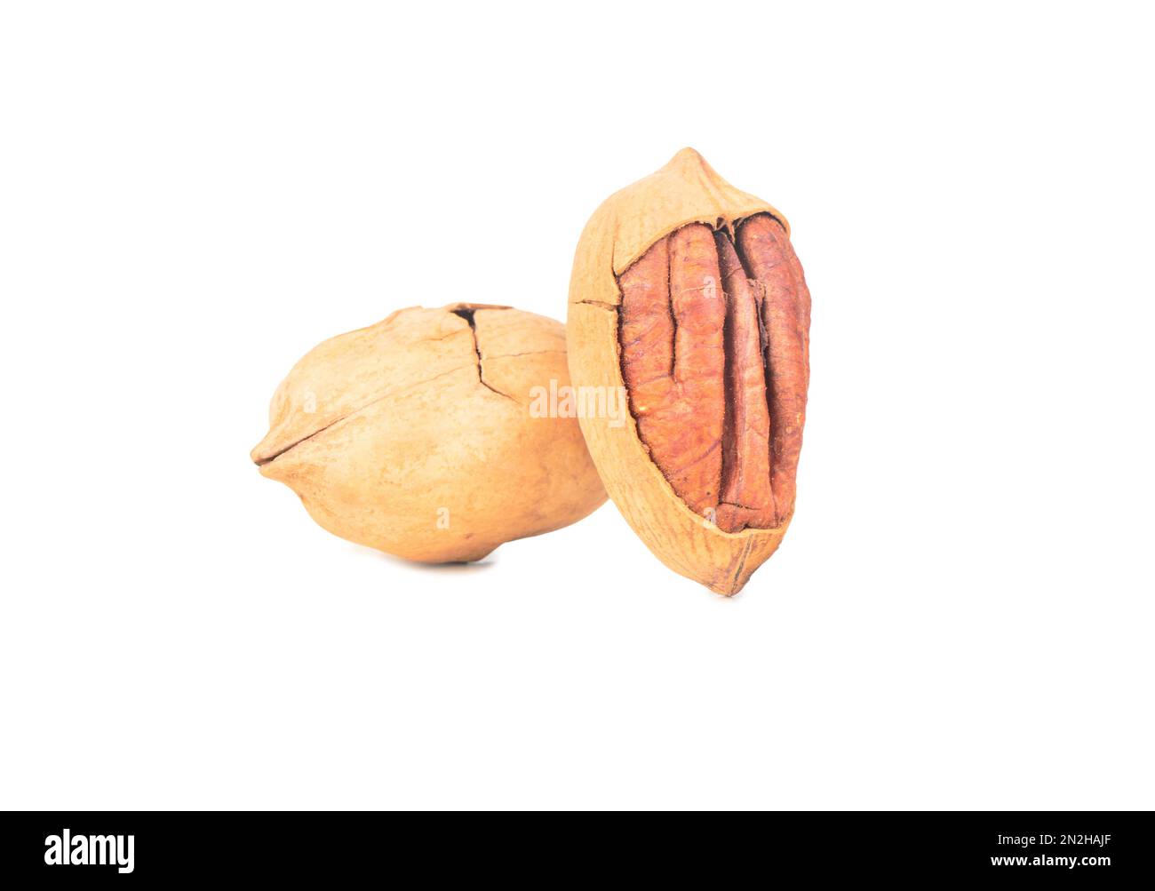 Two dry pecans in cracked shells on a white background Stock Photo - Alamy