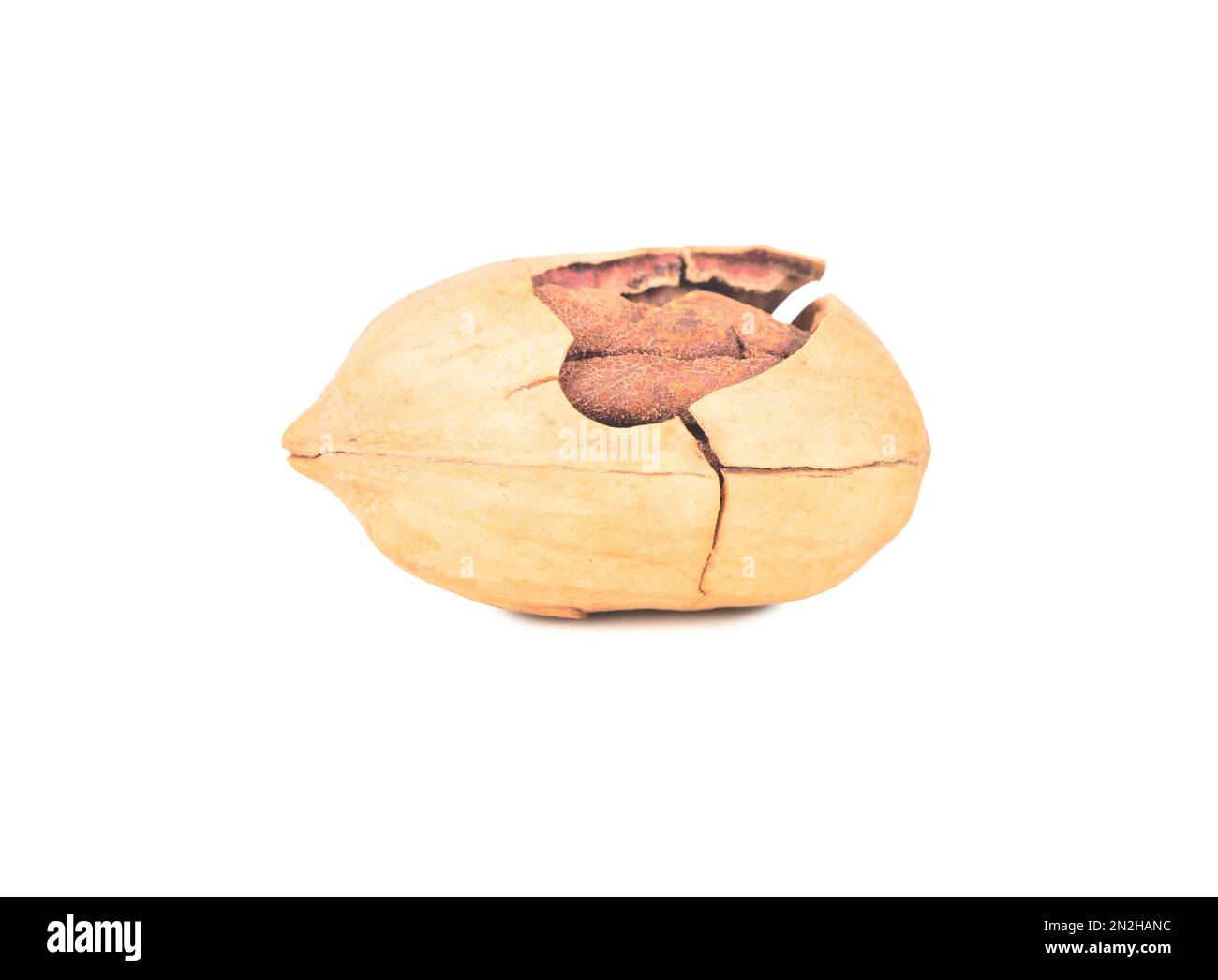 Pecan nut in cracked shell isolated on white background Stock Photo - Alamy