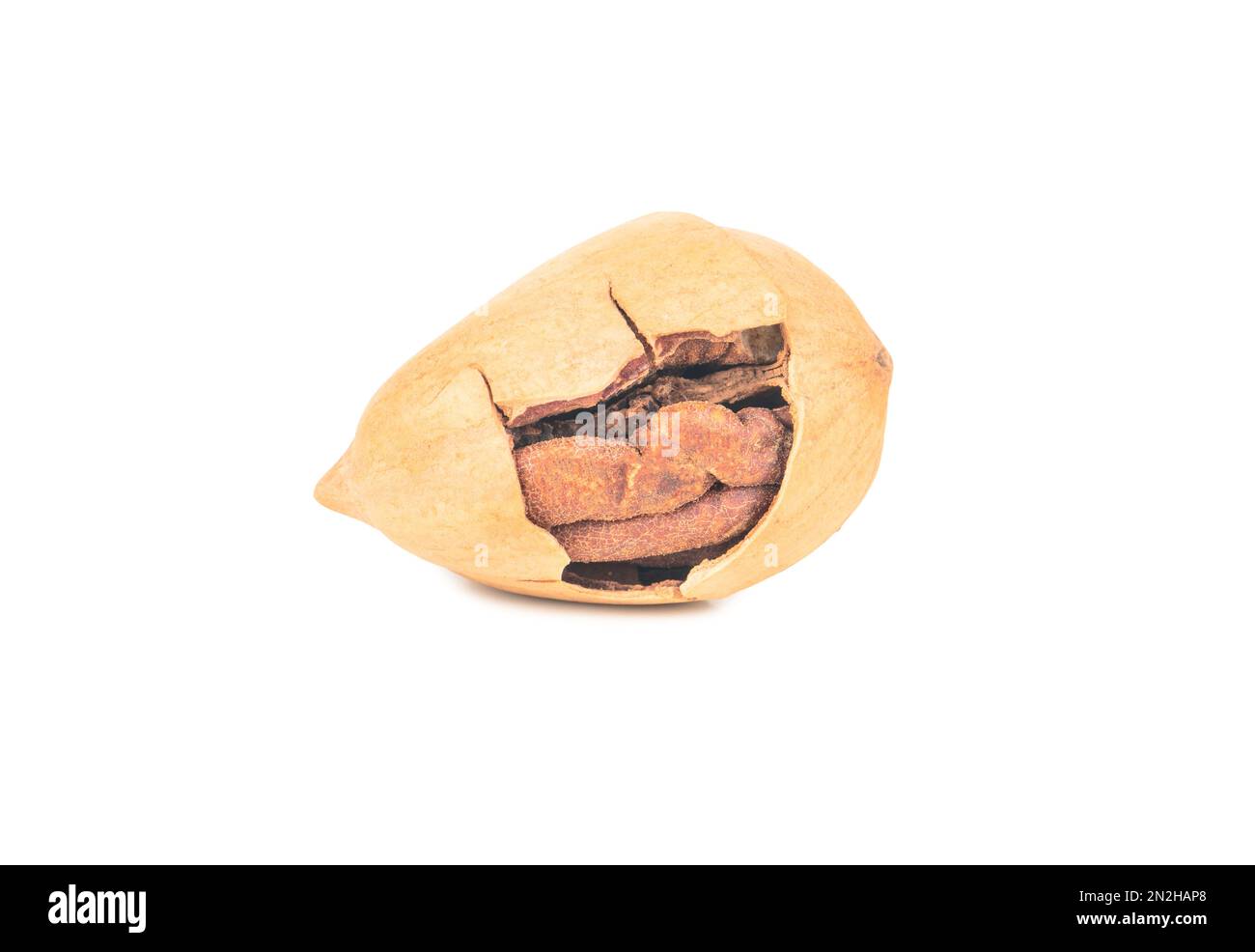 Pecan nut in cracked shell isolated on white background Stock Photo - Alamy