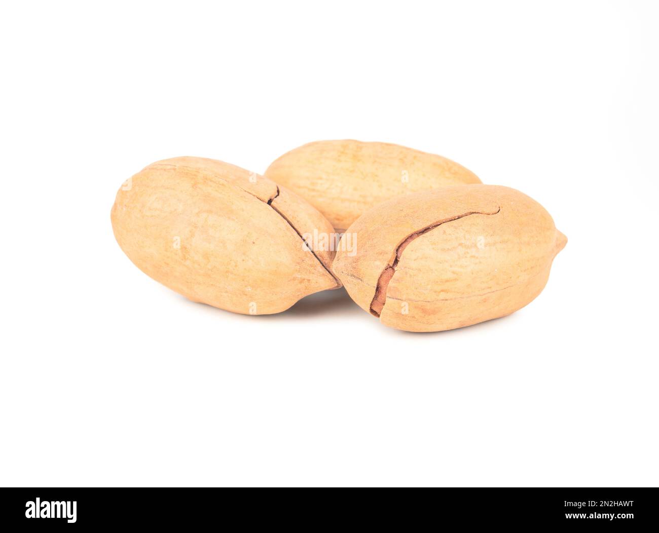 Three fresh pecans in shell on white background Stock Photo - Alamy