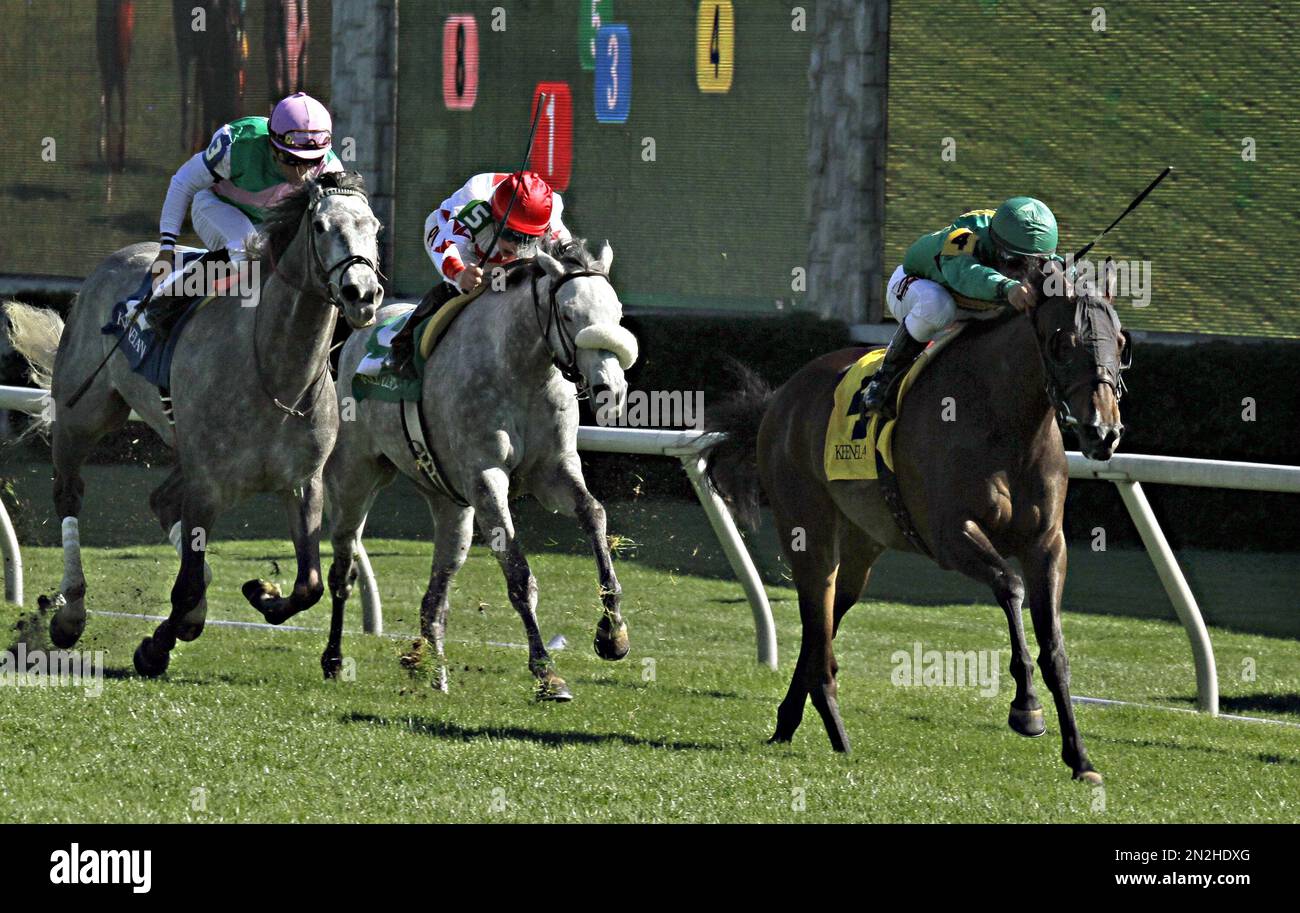 Javier Castellano, riding Ball Dancing, draws away from Hard Not to ...