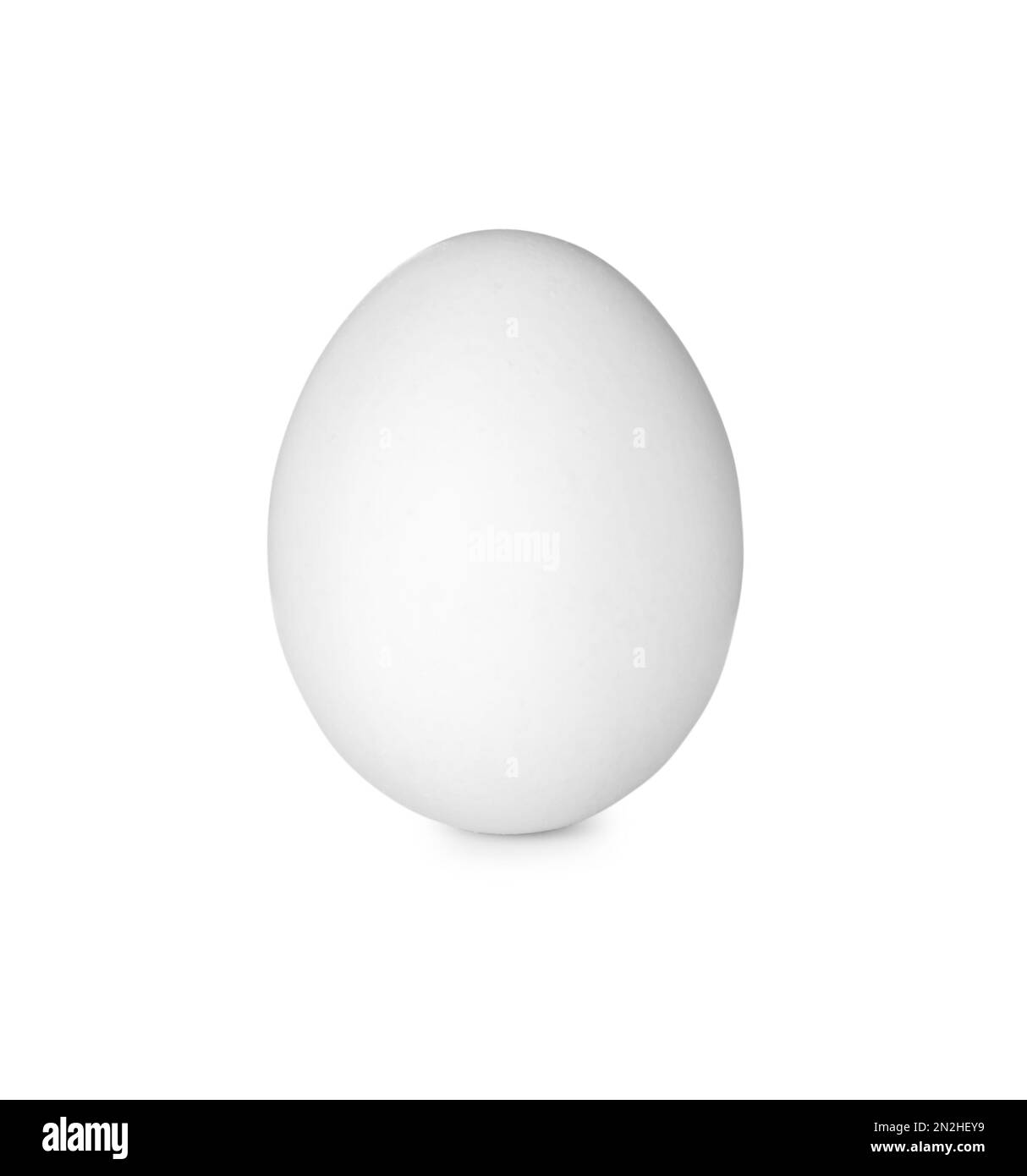 Fresh egg chicken farm Black and White Stock Photos & Images - Alamy