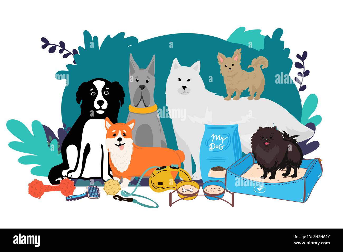 large dogs border set, front view spitz, french mastiff, labrador ...