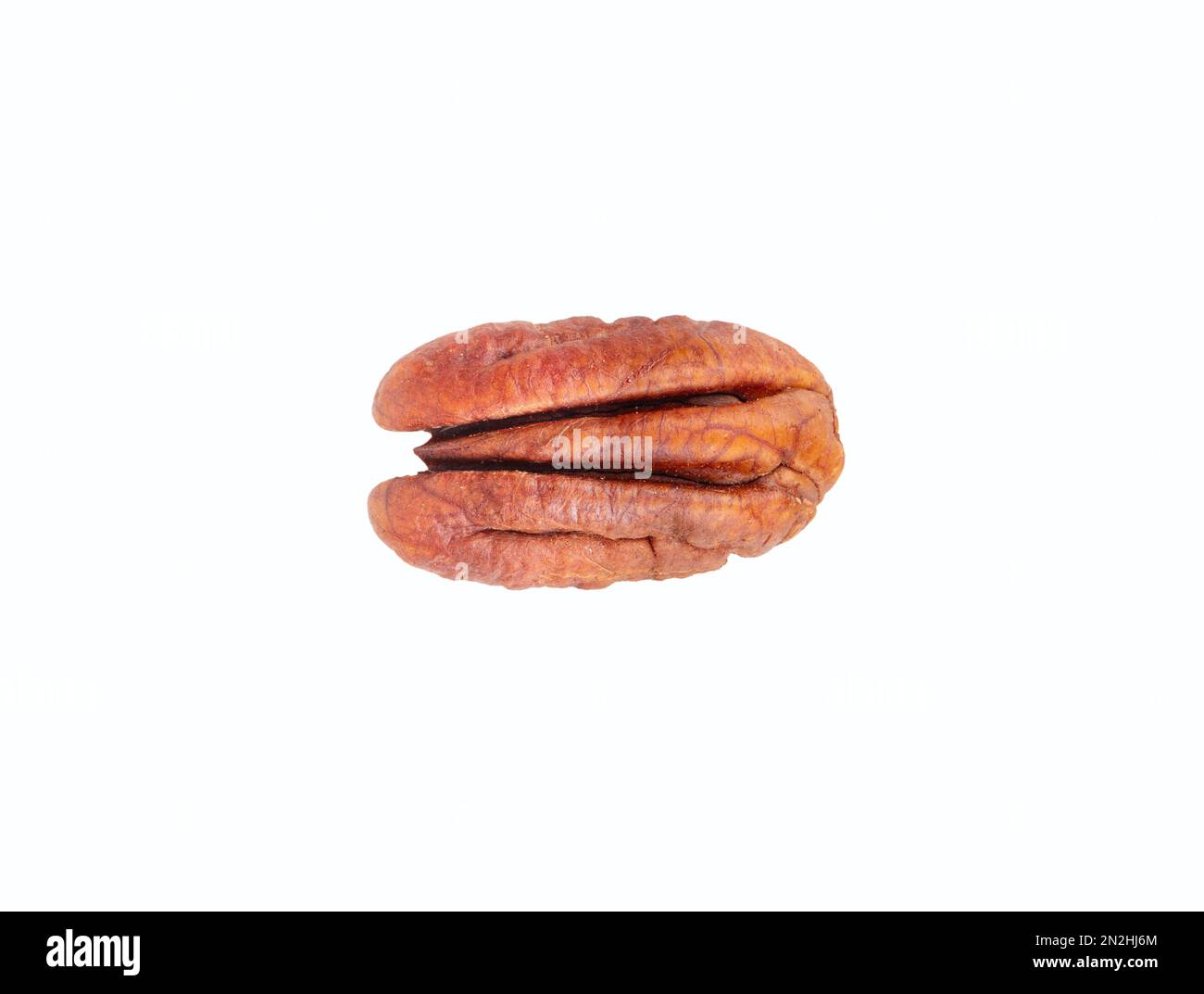pecan and a half on white background Stock Photo - Alamy