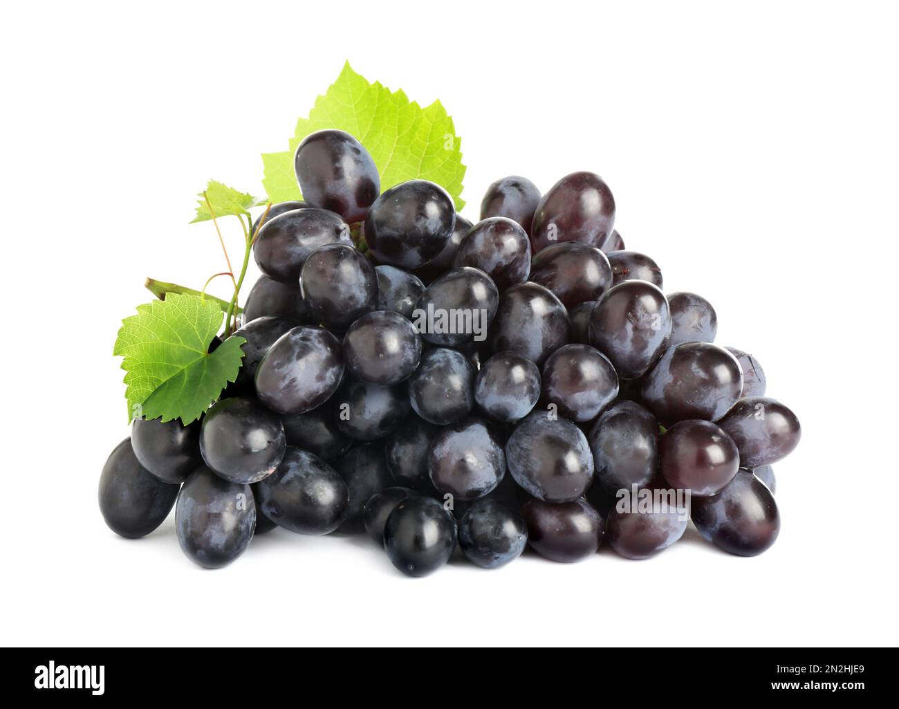Bunch of fresh ripe juicy dark blue grapes with leaves isolated on ...