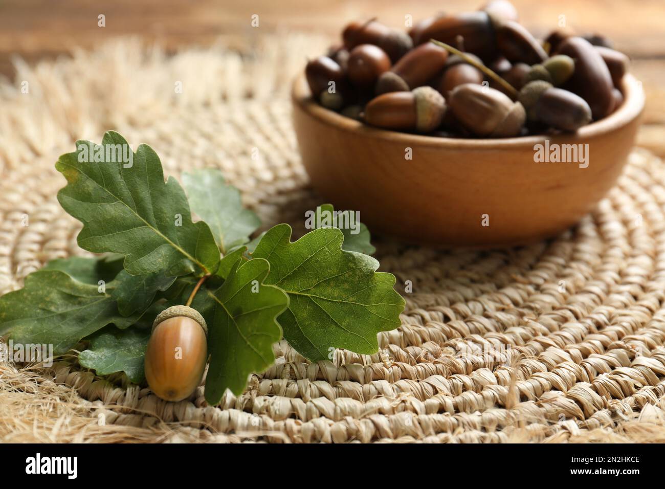 Oak branch with acorn and green leaves on wicker mat Stock Photo - Alamy