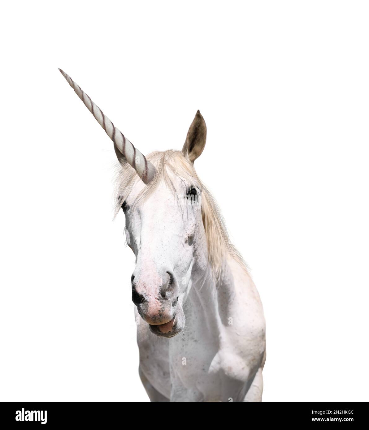 Amazing unicorn with beautiful mane on white background Stock Photo - Alamy