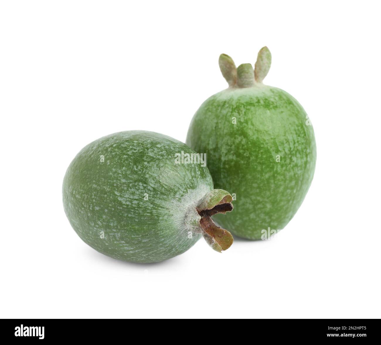 Fresh ripe feijoa fruits on white background Stock Photo - Alamy