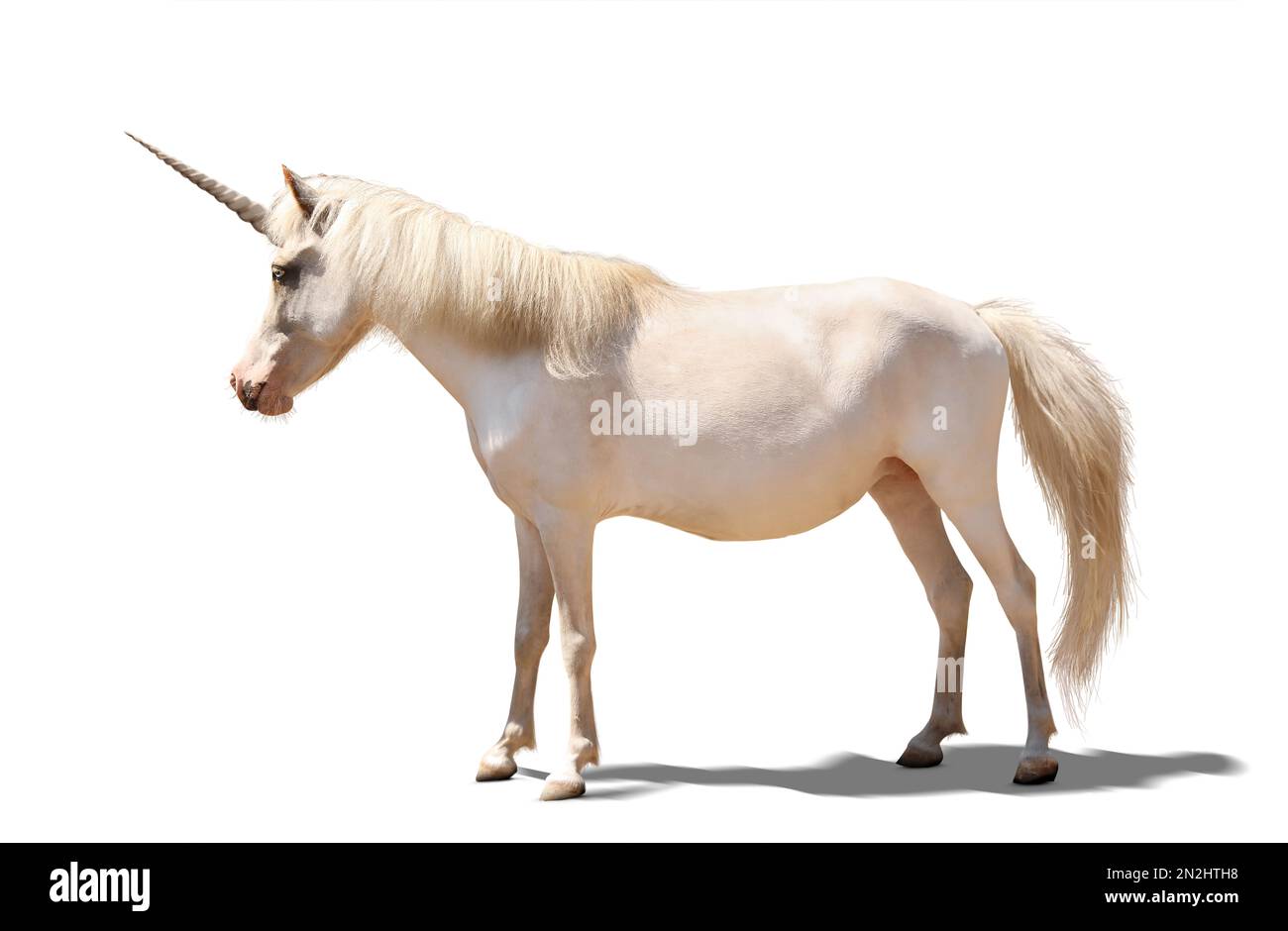 Amazing unicorn with beautiful mane on white background Stock Photo - Alamy