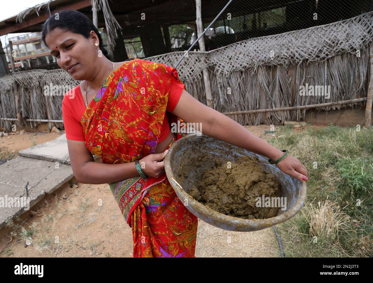 In this Tuesday, March 31, 2015 photo, an Indian woman carries cow dung ...