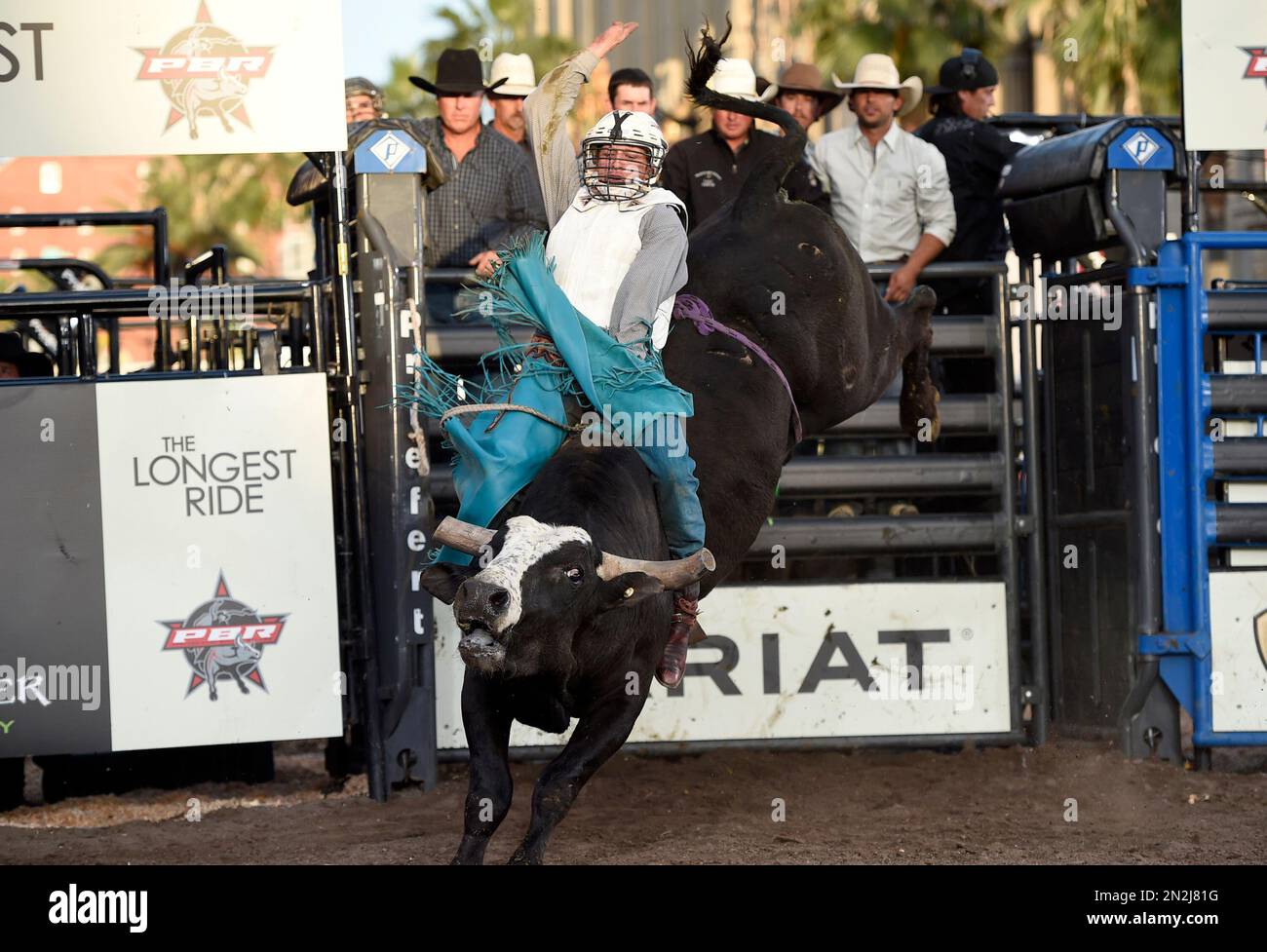 A professional bull rider participates in a bull riding exhibition at ...
